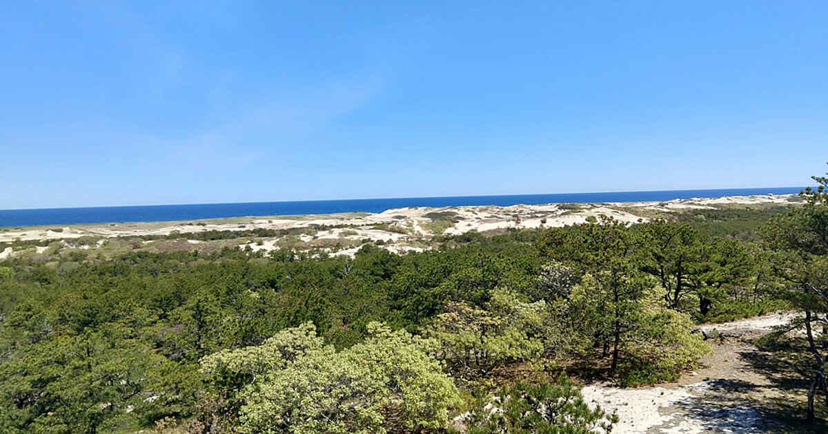Portico Darwin: Cape Cod Travel Guide