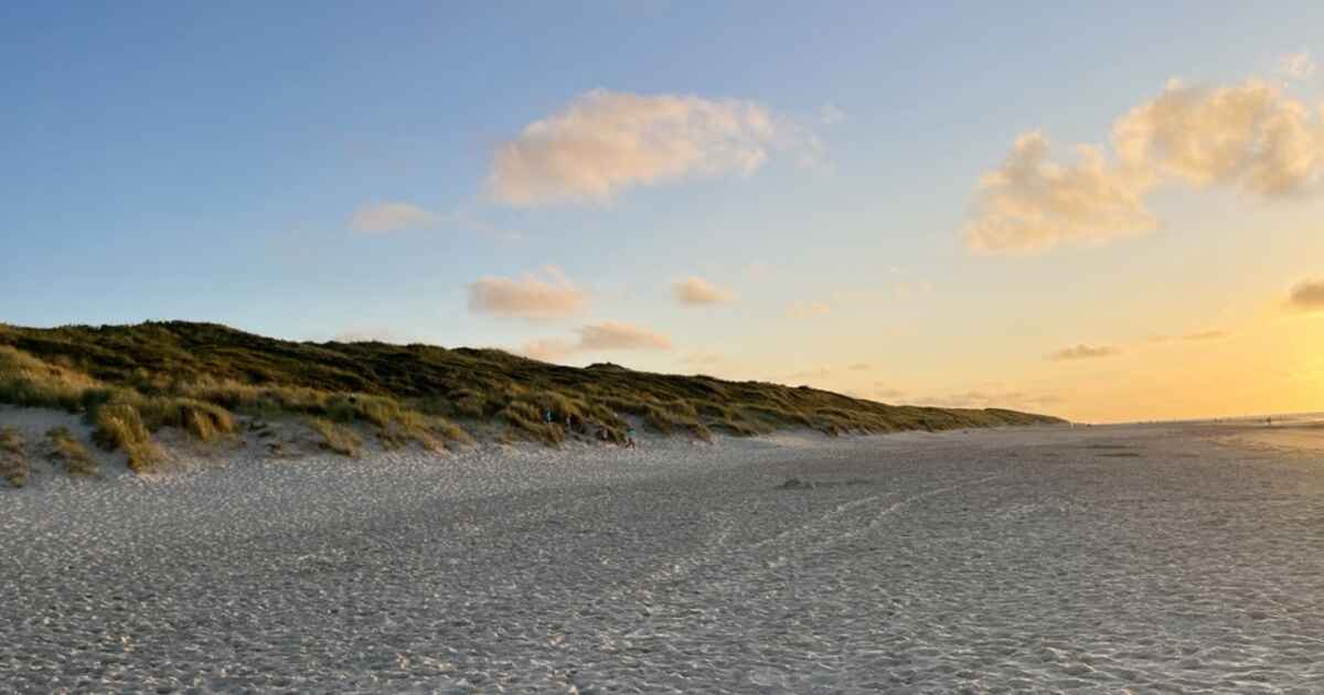 📰 Wat me deze week bezighield (Week 34 2023)