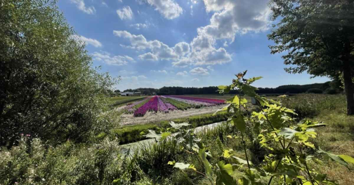 📰 Wat me deze week bezighield (Week 34 2022)